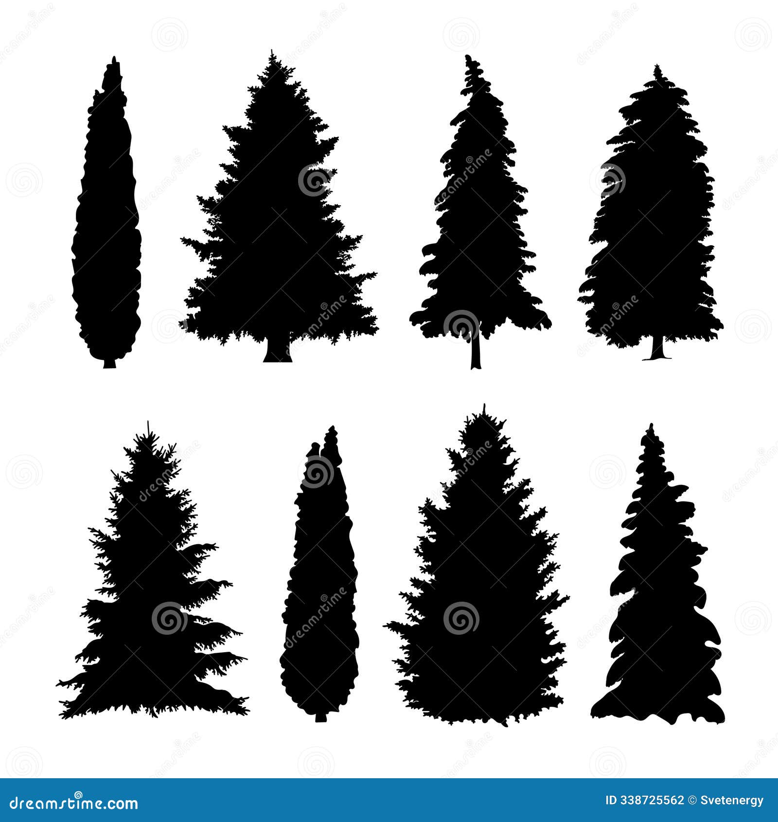 The Black Silhouette of the Trees is Spruce and Thuja. Stock Vector ...