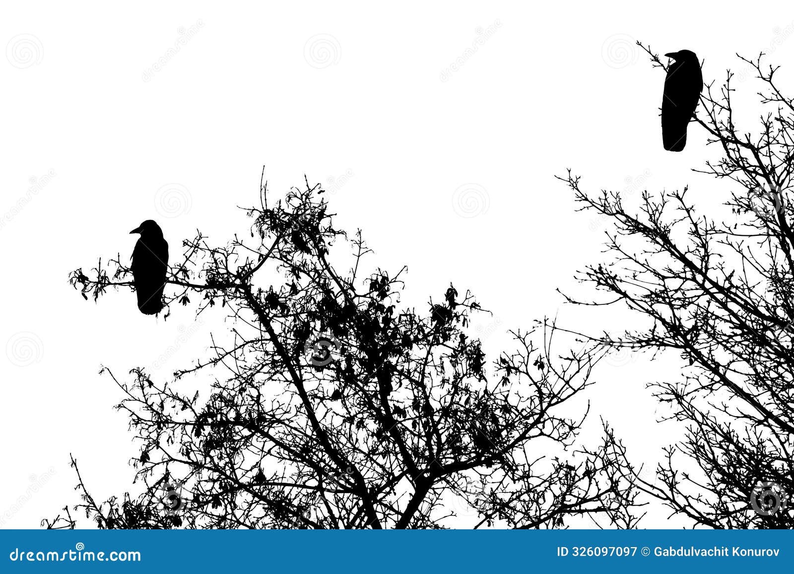 Black Silhouettes of Two Crows on Trees Branches Stock Illustration ...