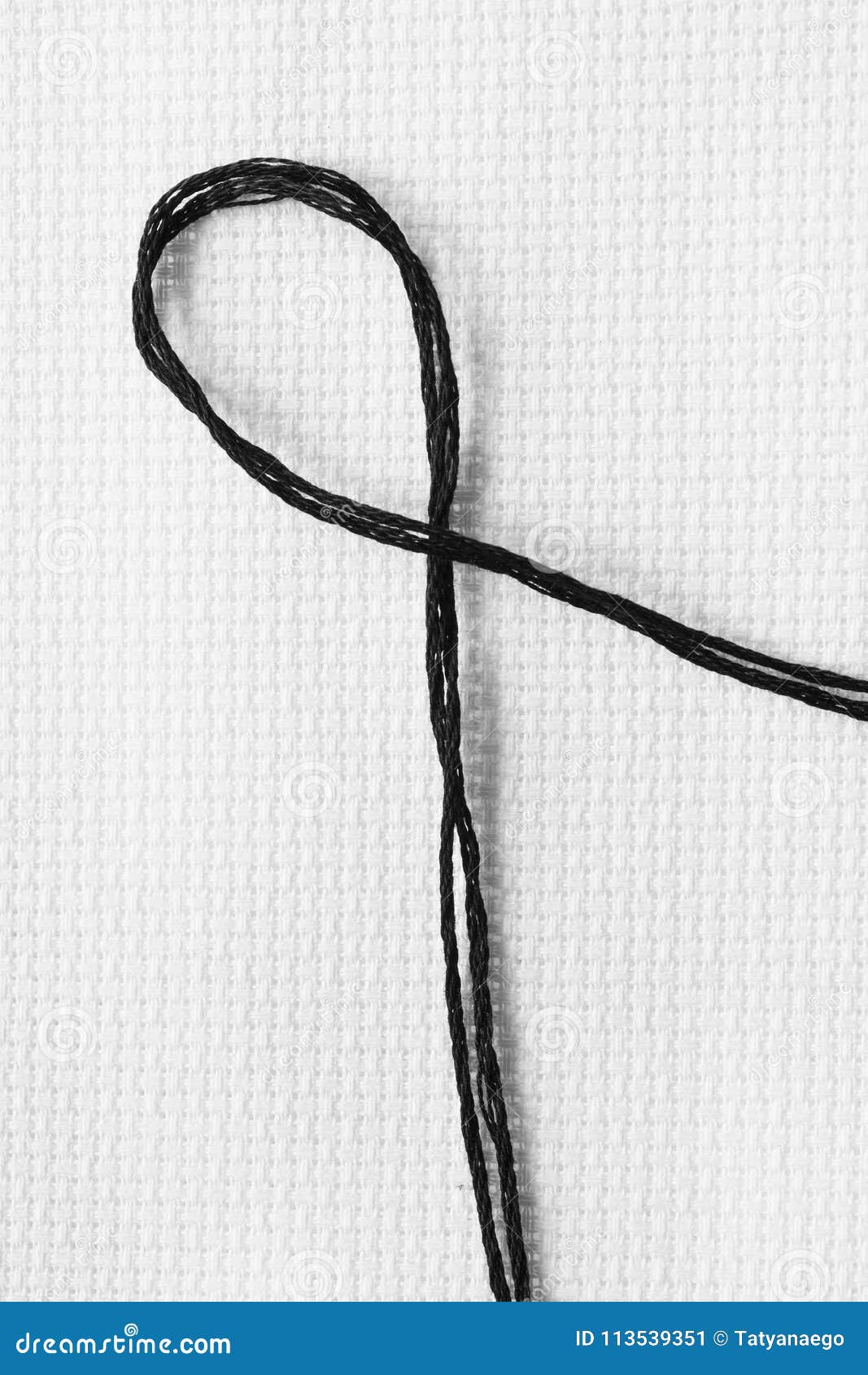 Thread on white canvas stock image. Image of needlework - 113539351