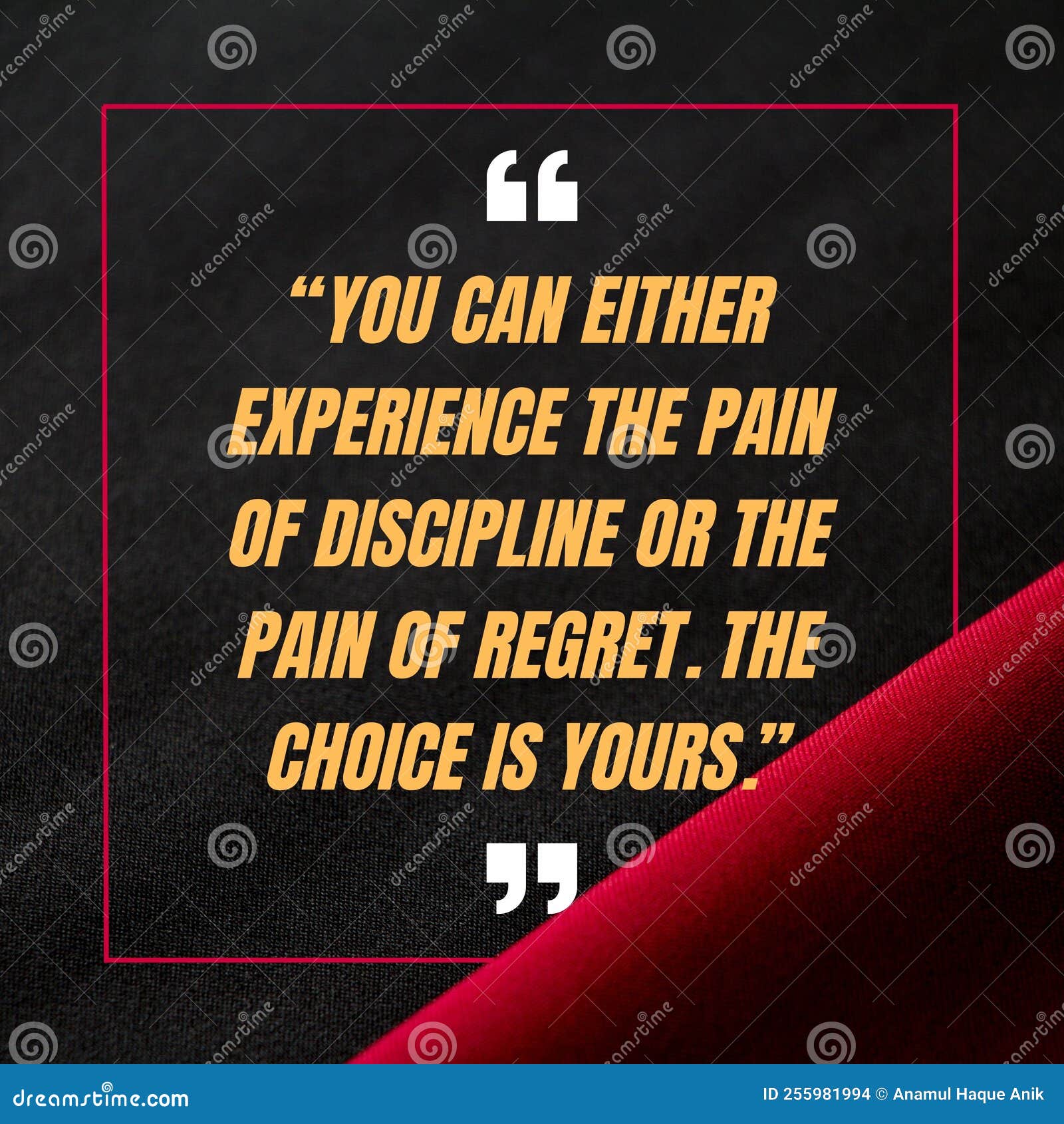 You Can Either Experience the Pain of Discipline or the Pain of Regret ...