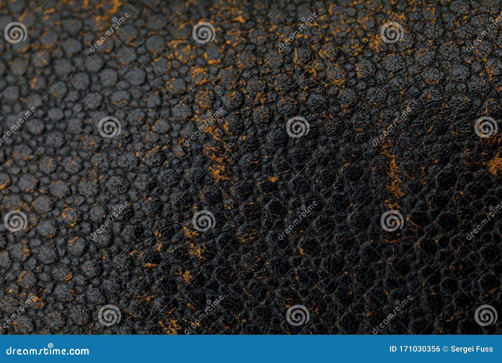 Black Skin, Background Image, Texture Stock Photo - Image of closeup ...