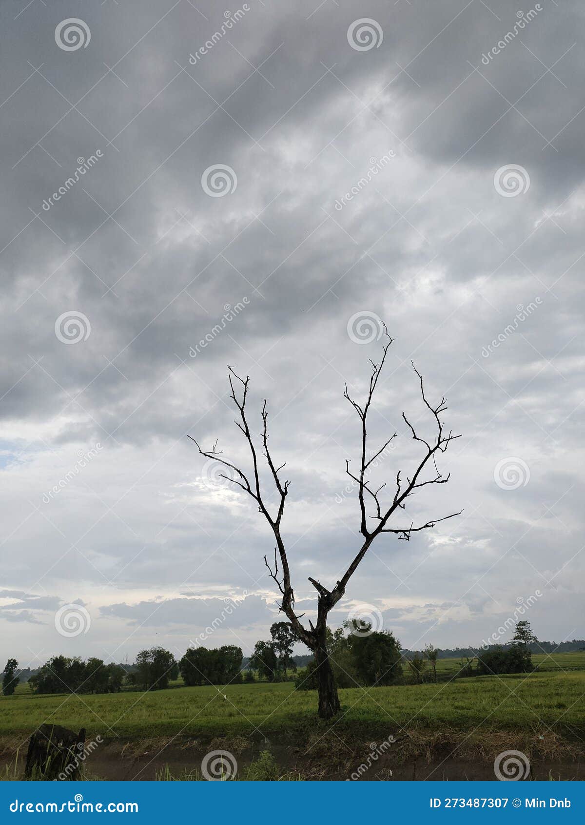 Black Sky, Cloudy in Rainy Day Stock Image - Image of rainy, inrainy ...