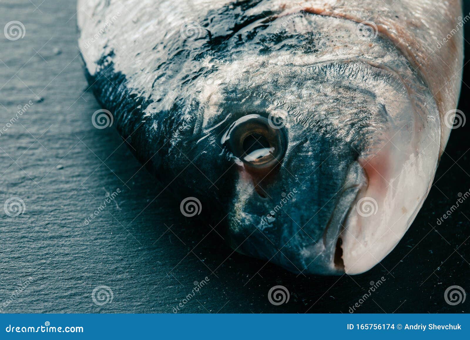 Clean Raw Fish Head on Dark Surface Stock Photo - Image of product ...