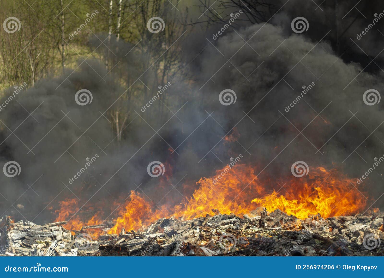 Black Smoke and Fire. Fire in Forest Stock Photo - Image of bright ...