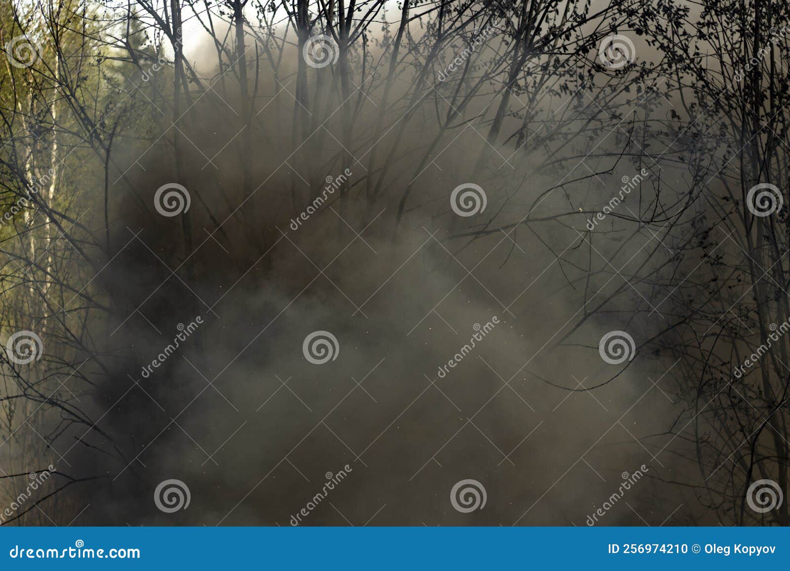 Black Smoke and Fire. Fire in Forest Stock Photo - Image of fire ...