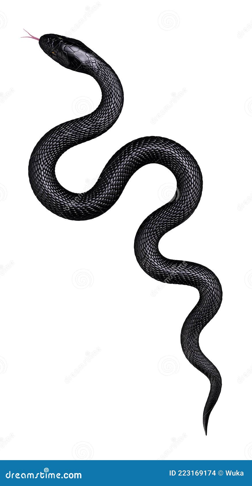 Black Snake Isolated On White. Top View Royalty-Free Cartoon ...