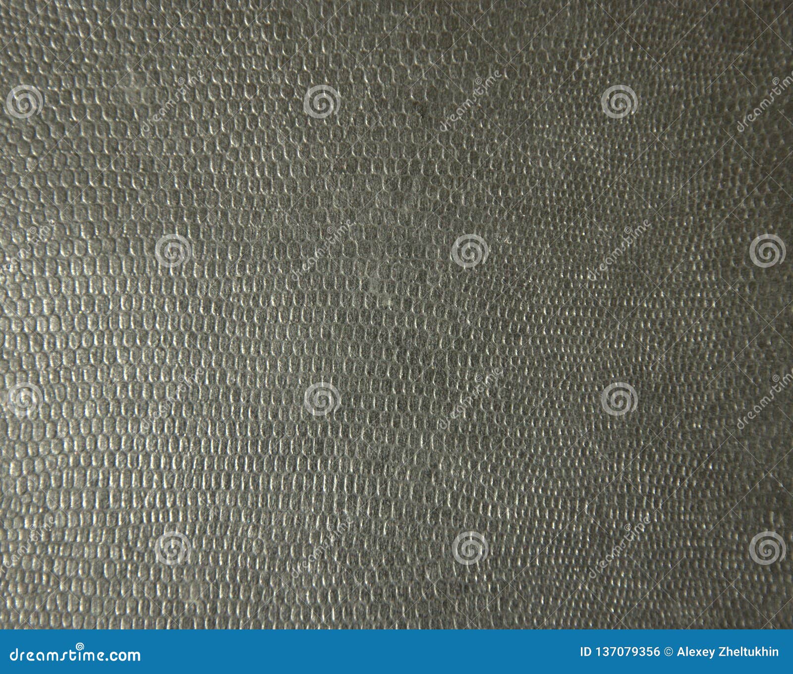 Black Snake Skin Close Up. Background Stock Photo - Image of closeup ...