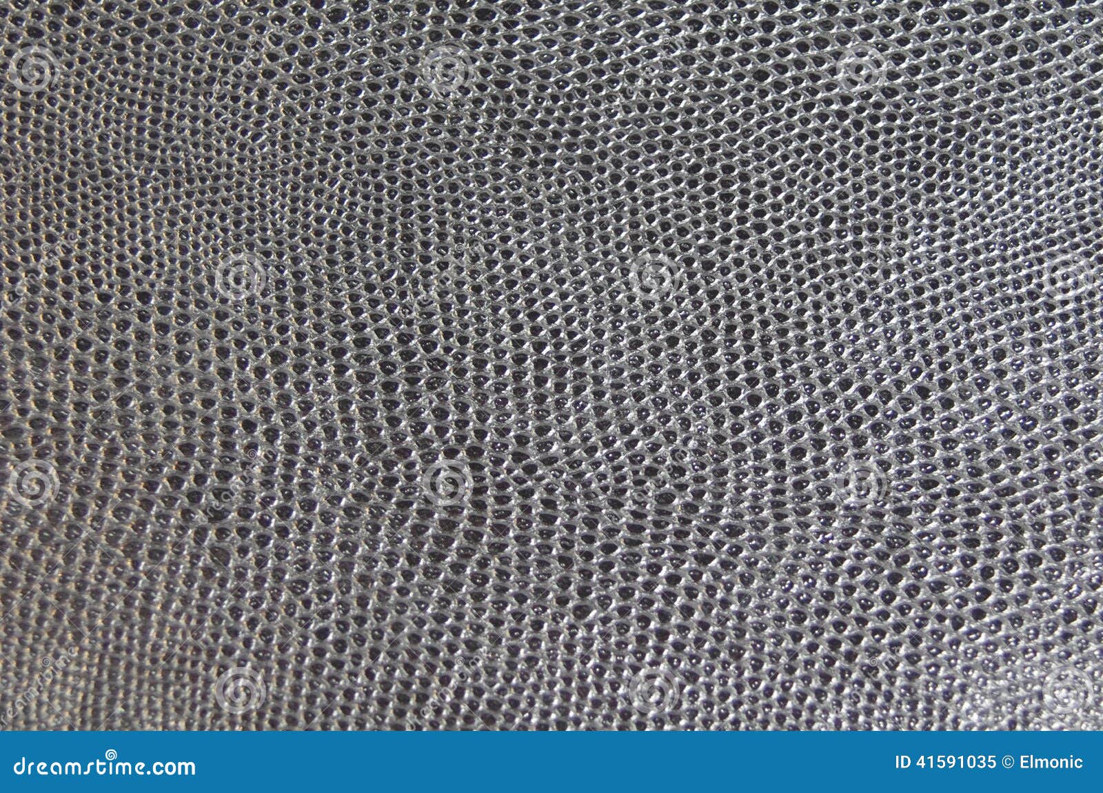 528 Black Gray Snake Skin Stock Photos - Free & Royalty-Free Stock ...