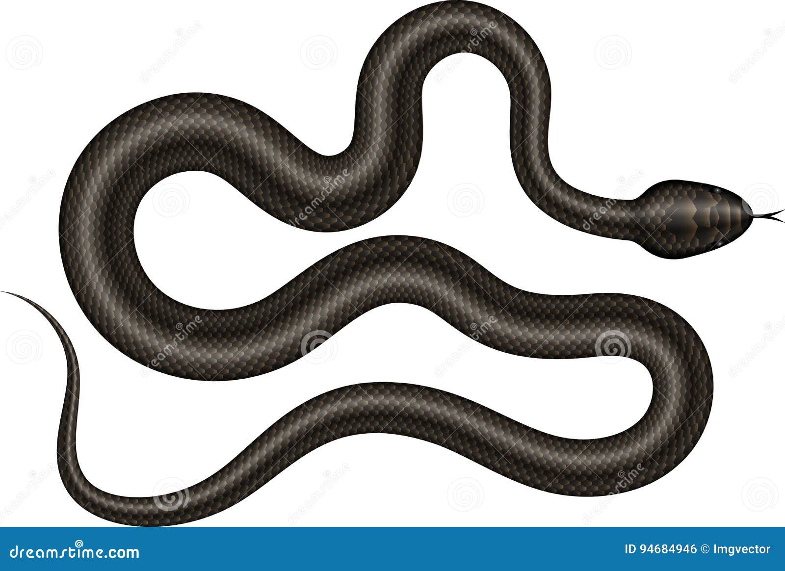 Black Snake Vector Illustration. Stock Vector - Illustration of animal ...