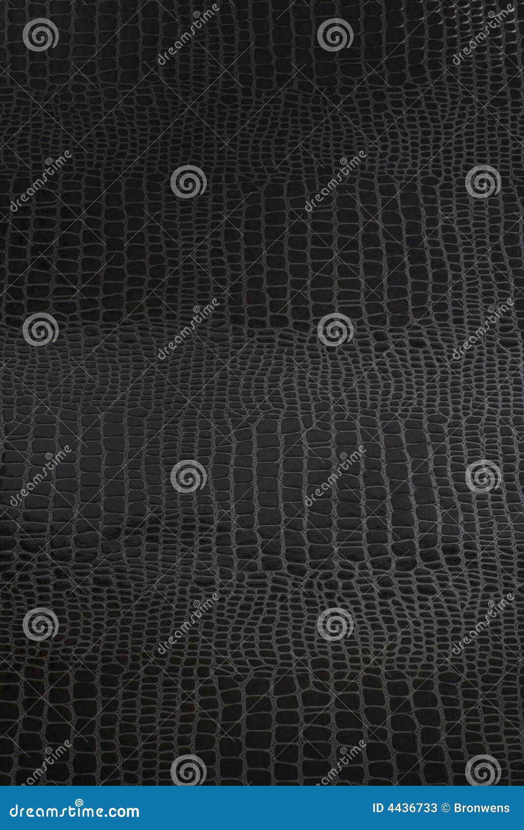 Black Snakeskin stock image. Image of black, pattern, case - 4436733