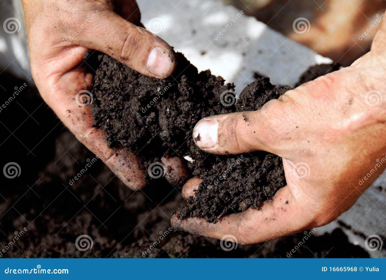 Black soil stock photo. Image of black, environment, cultivate - 16665968
