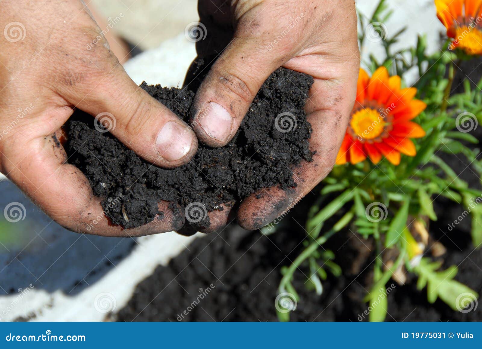 Black soil stock image. Image of fertilizing, black, fertilizer - 19775031