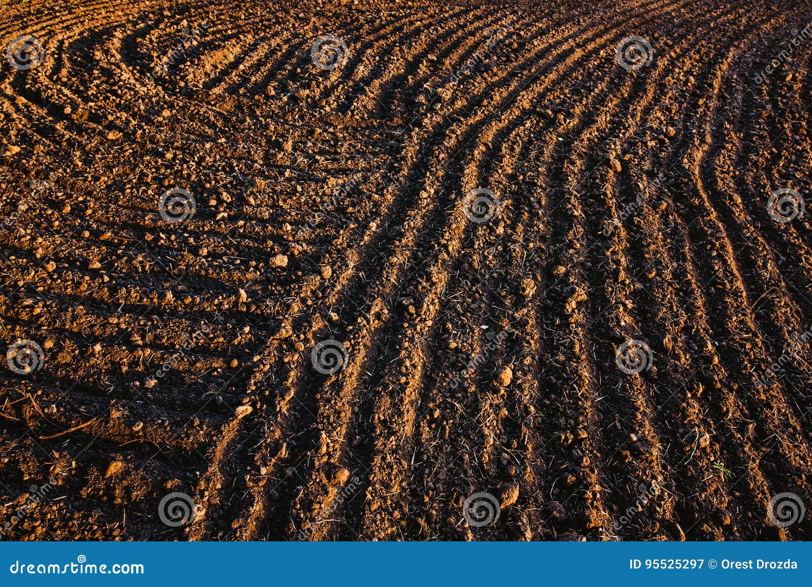 Black Soil Plowed Field. Earth Texture Stock Image - Image of food ...