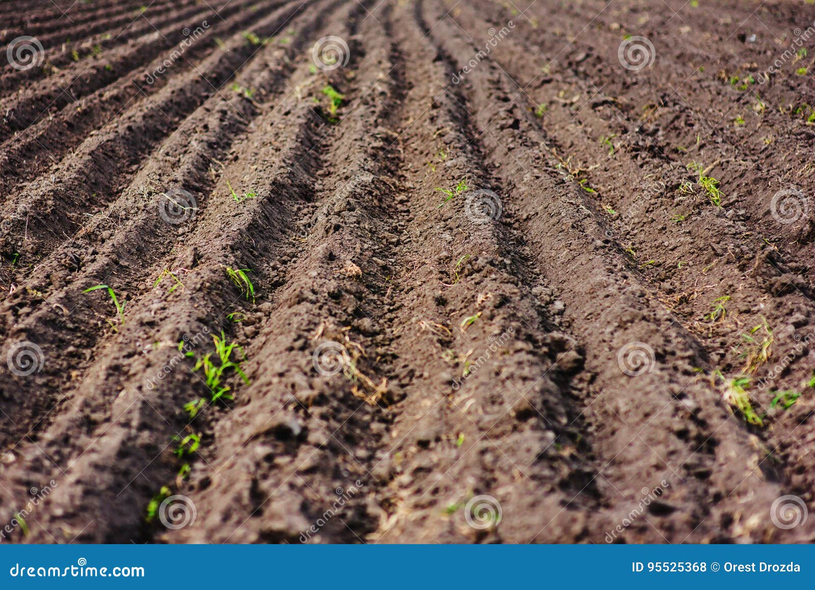 Black Soil Plowed Field. Earth Texture Stock Photo - Image of crop ...
