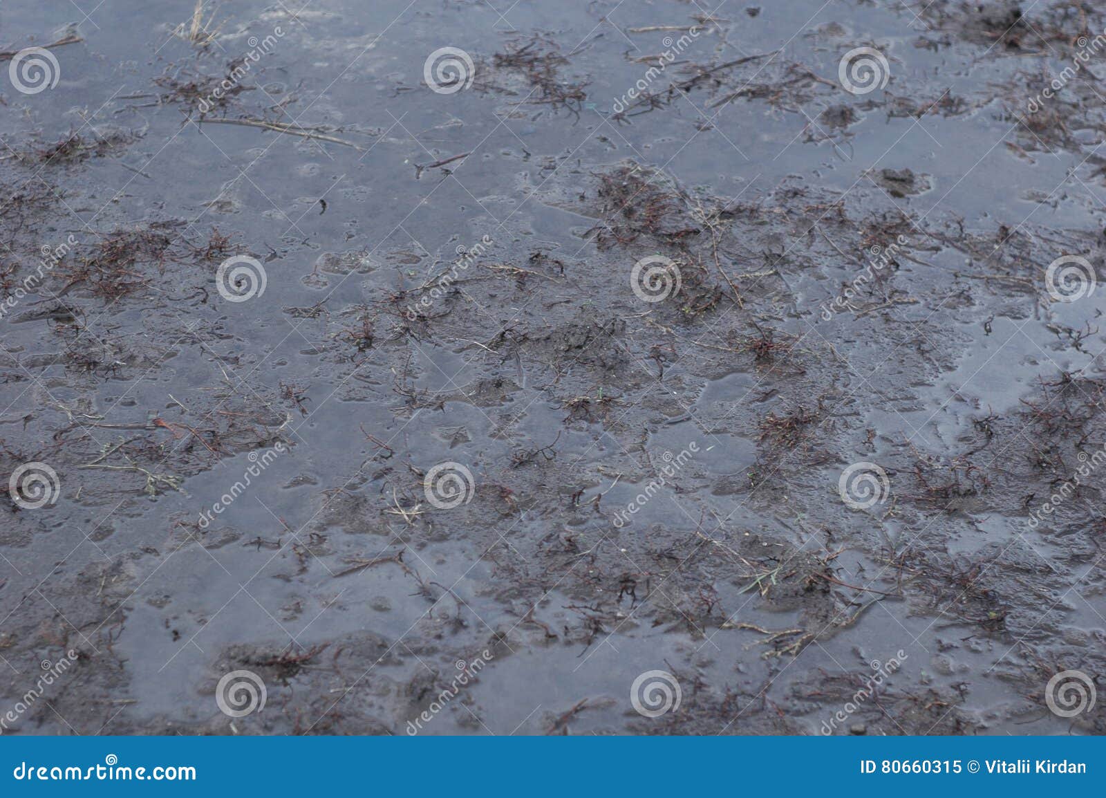 Black soil after rain stock image. Image of nature, environmental ...