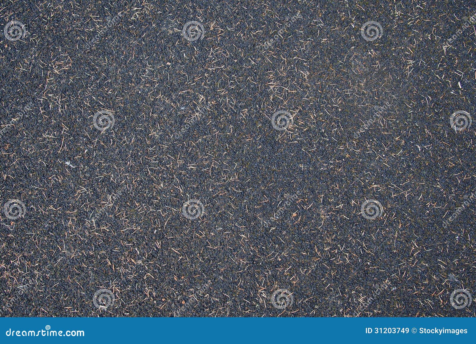 Black Soil Texture Royalty-Free Stock Photography | CartoonDealer.com ...