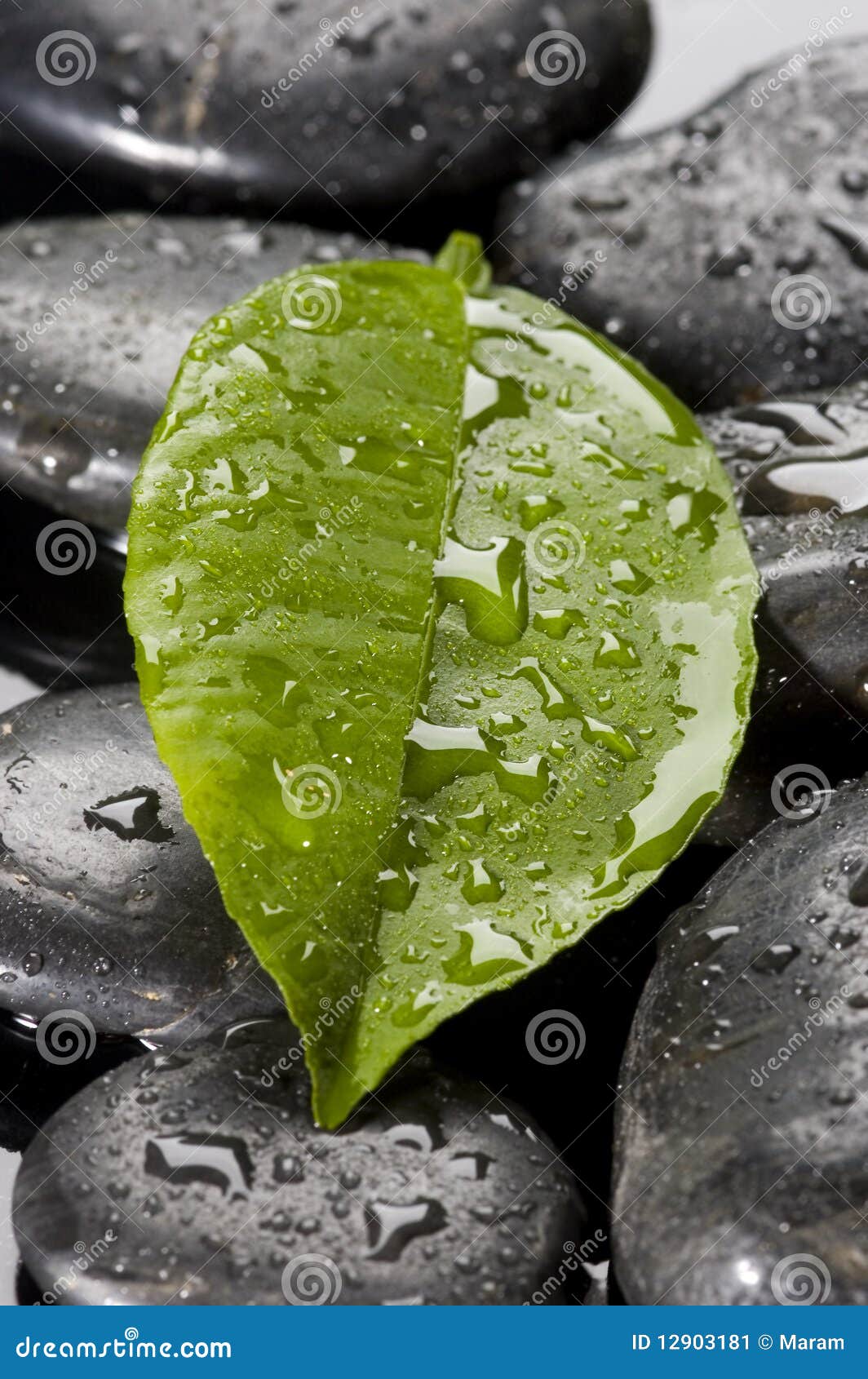 Black Spa Stone with Water Drops Stock Image - Image of beauty, earth ...