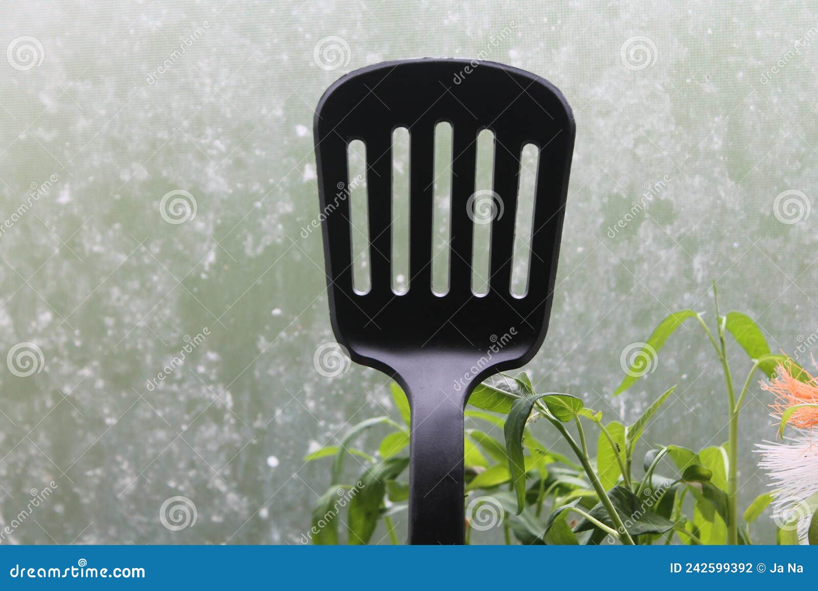 Black Spatula for Cooking with Glass Window Background Stock Photo ...