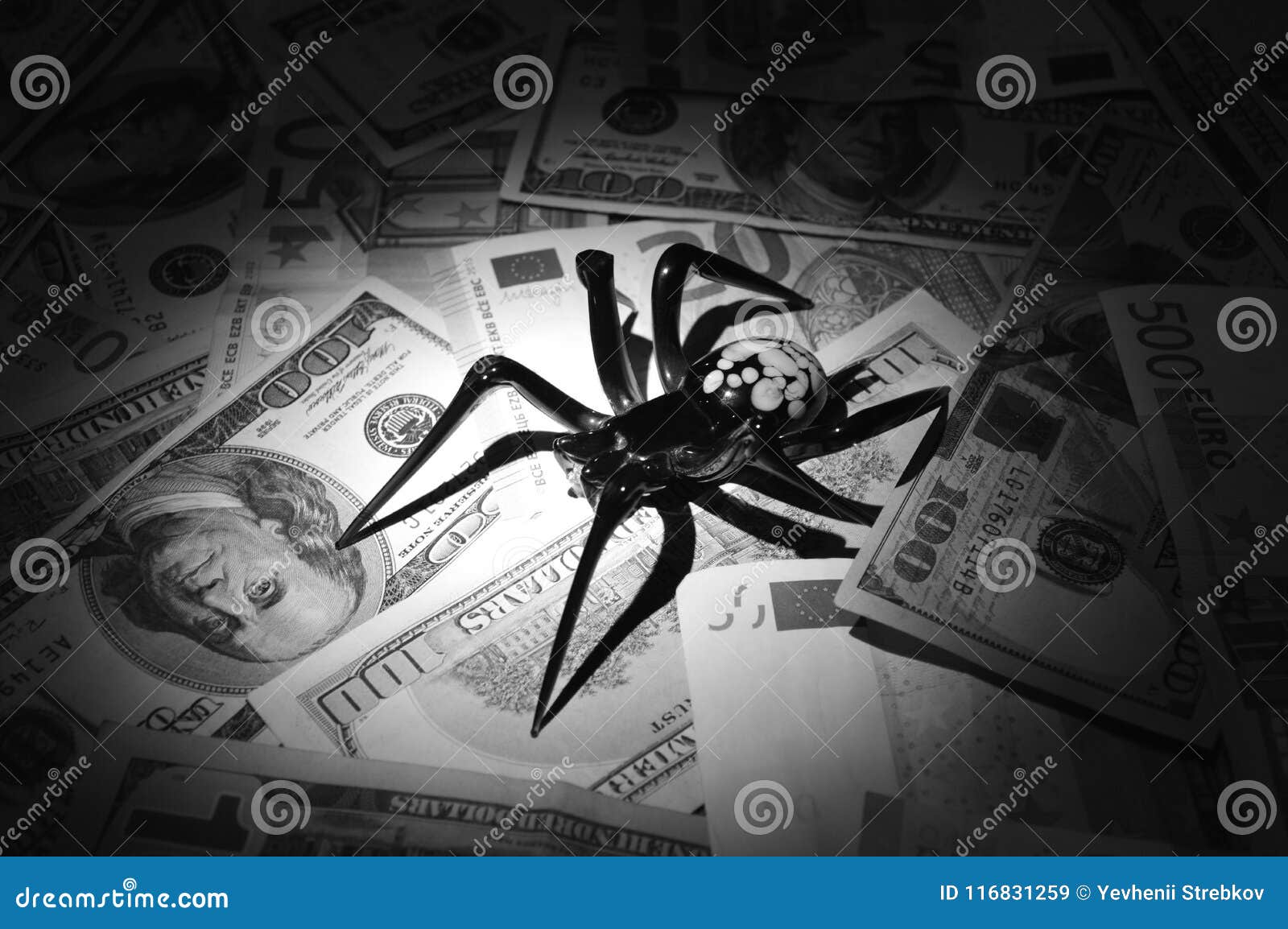 Black Spider Sits on One Hundred Dollar Bills in Black and White Tones ...