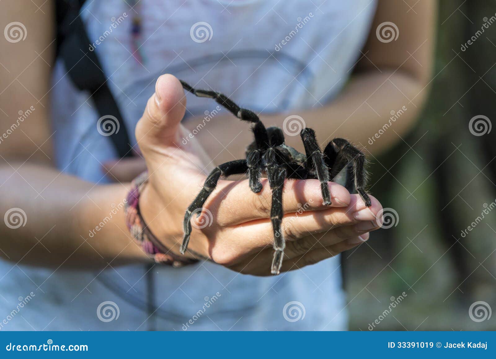 Black Spider Sitting on a Woman Hand Stock Image - Image of legs, black ...