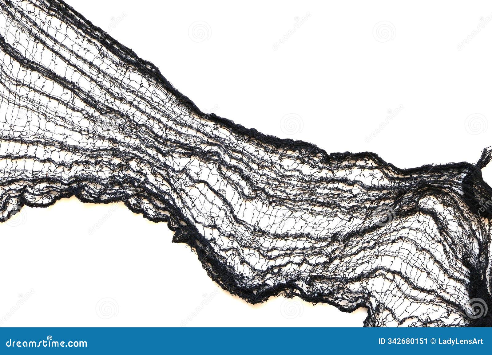 A Black Spider Web Net on a White Background. Textured Netting Fabric ...
