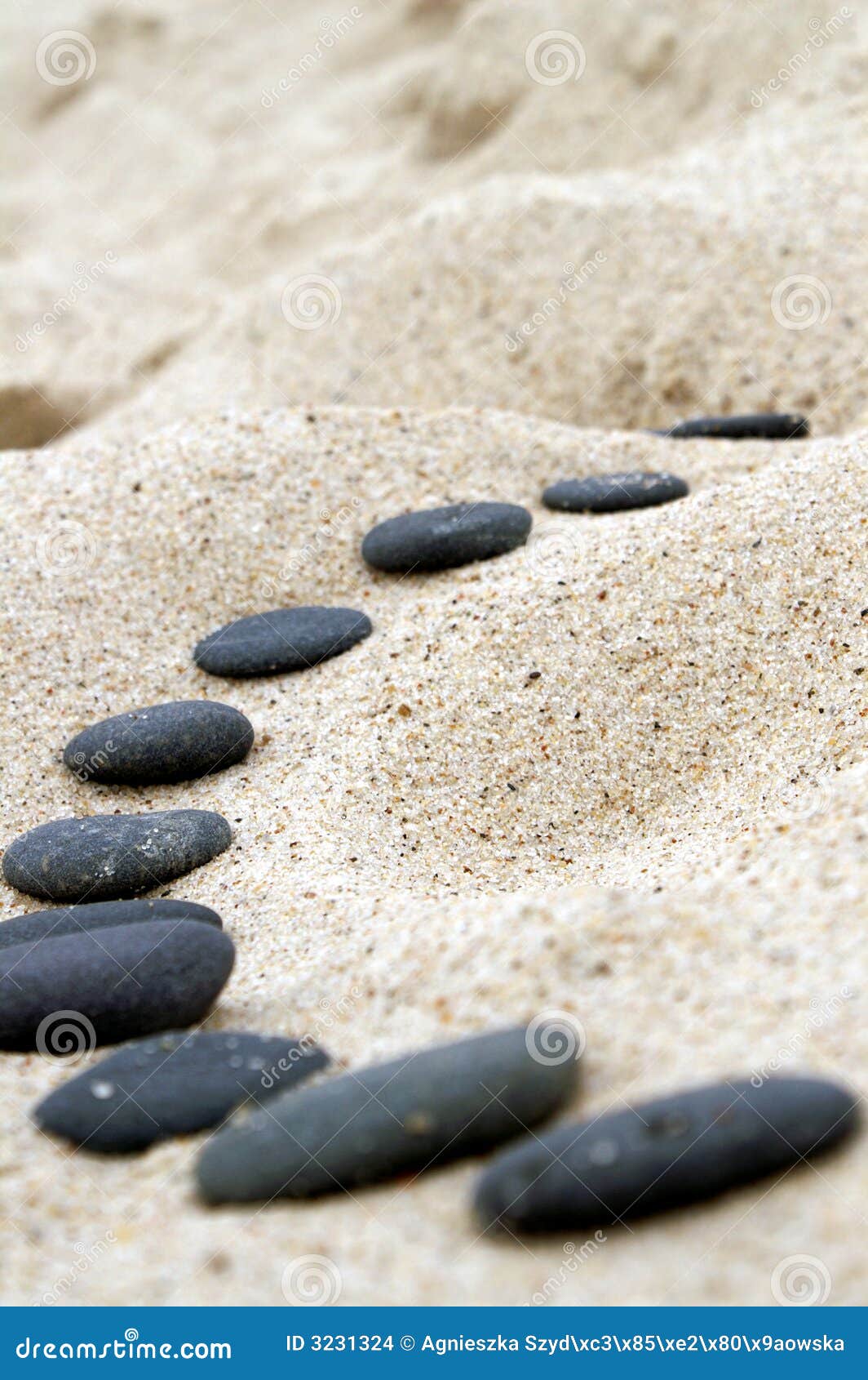 Black stepping stones stock photo. Image of nature, calm - 3231324