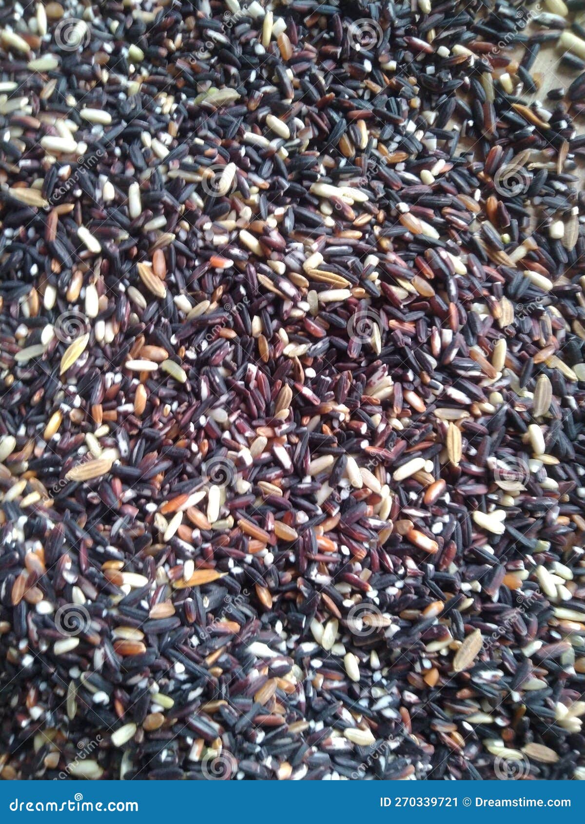 Black sticky rice stock image. Image of food, black - 270339721