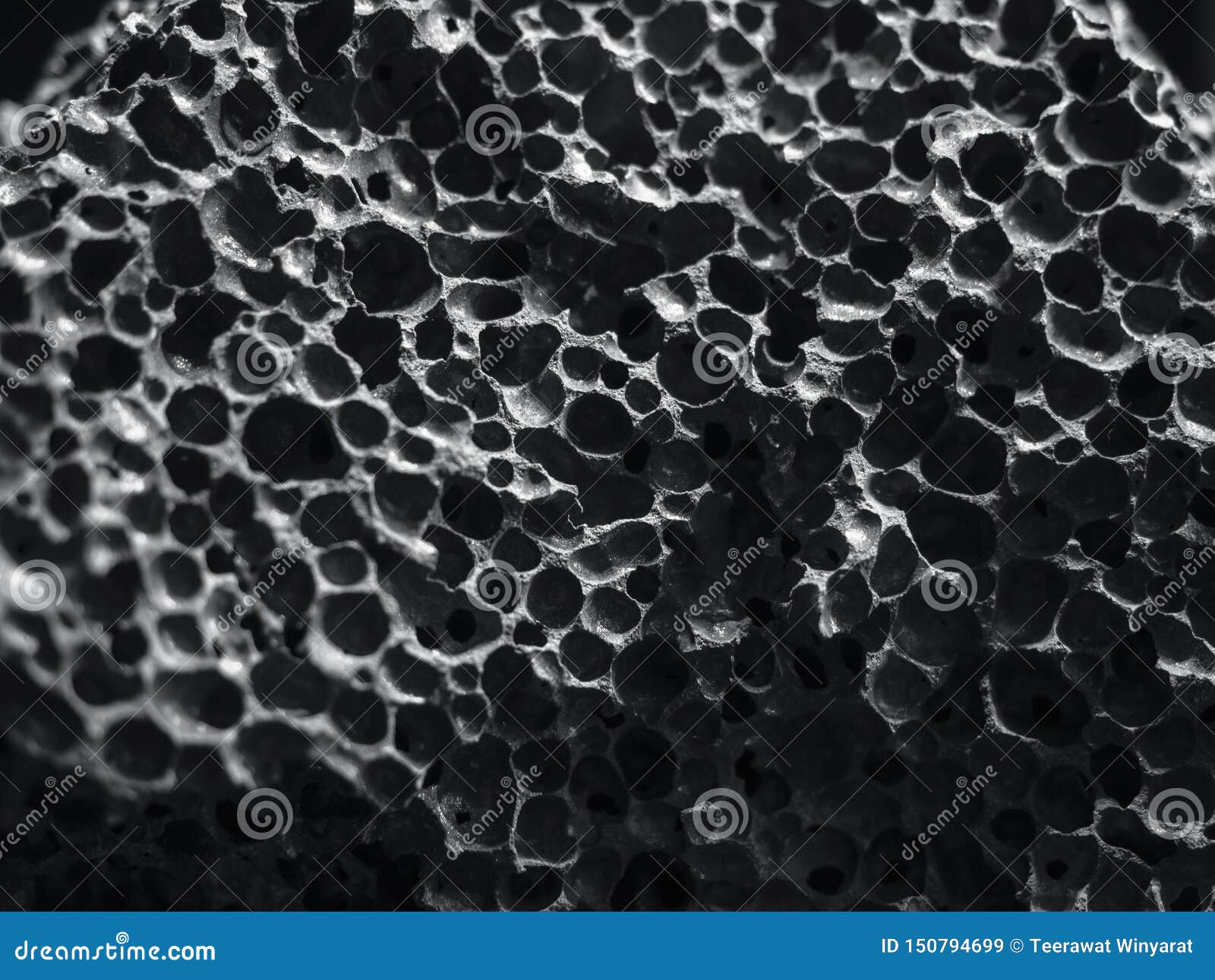 The Porous Texture Of The Stone Flagstones Limestone Royalty-Free Stock ...