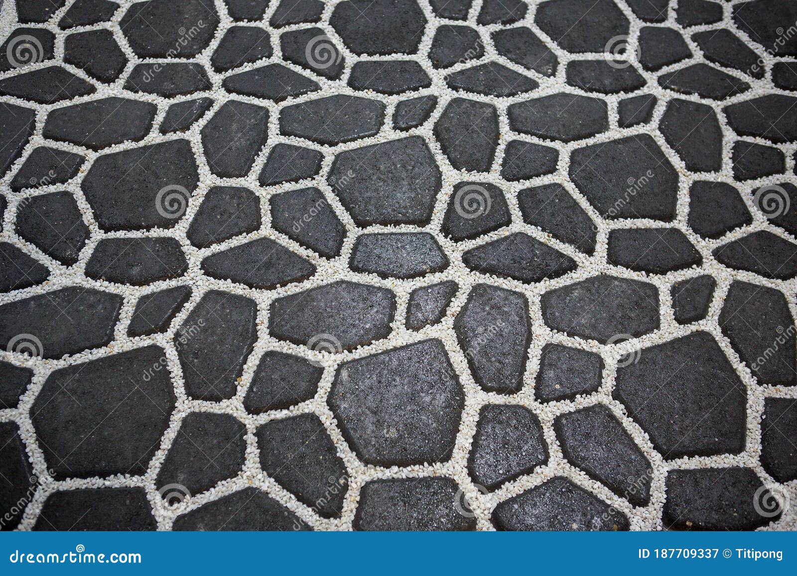 Black Stone Walkway in the Garden Stock Image - Image of nature ...