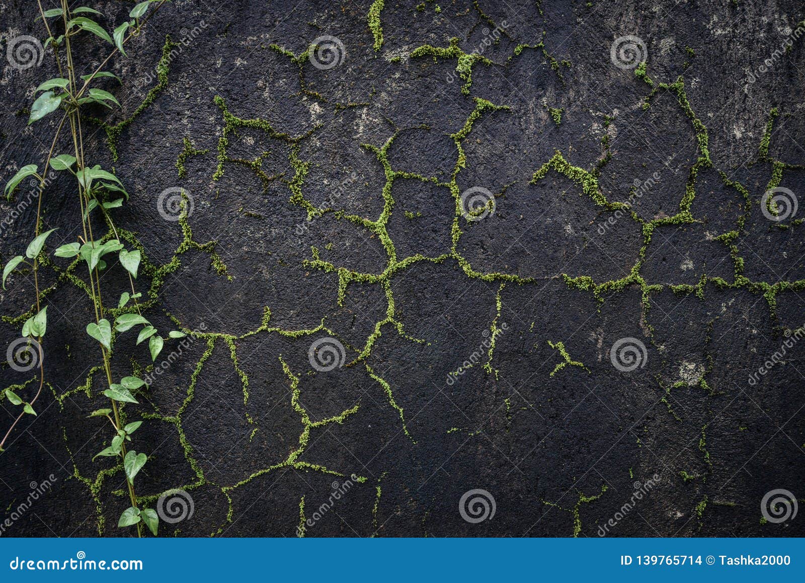 Black Stone Wall Overgrown with Moss Stock Photo - Image of backdrop ...
