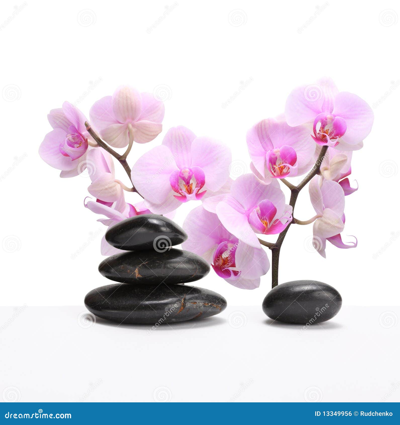 Black Stones and Pink Orchid Stock Photo - Image of stone, rock: 13349956