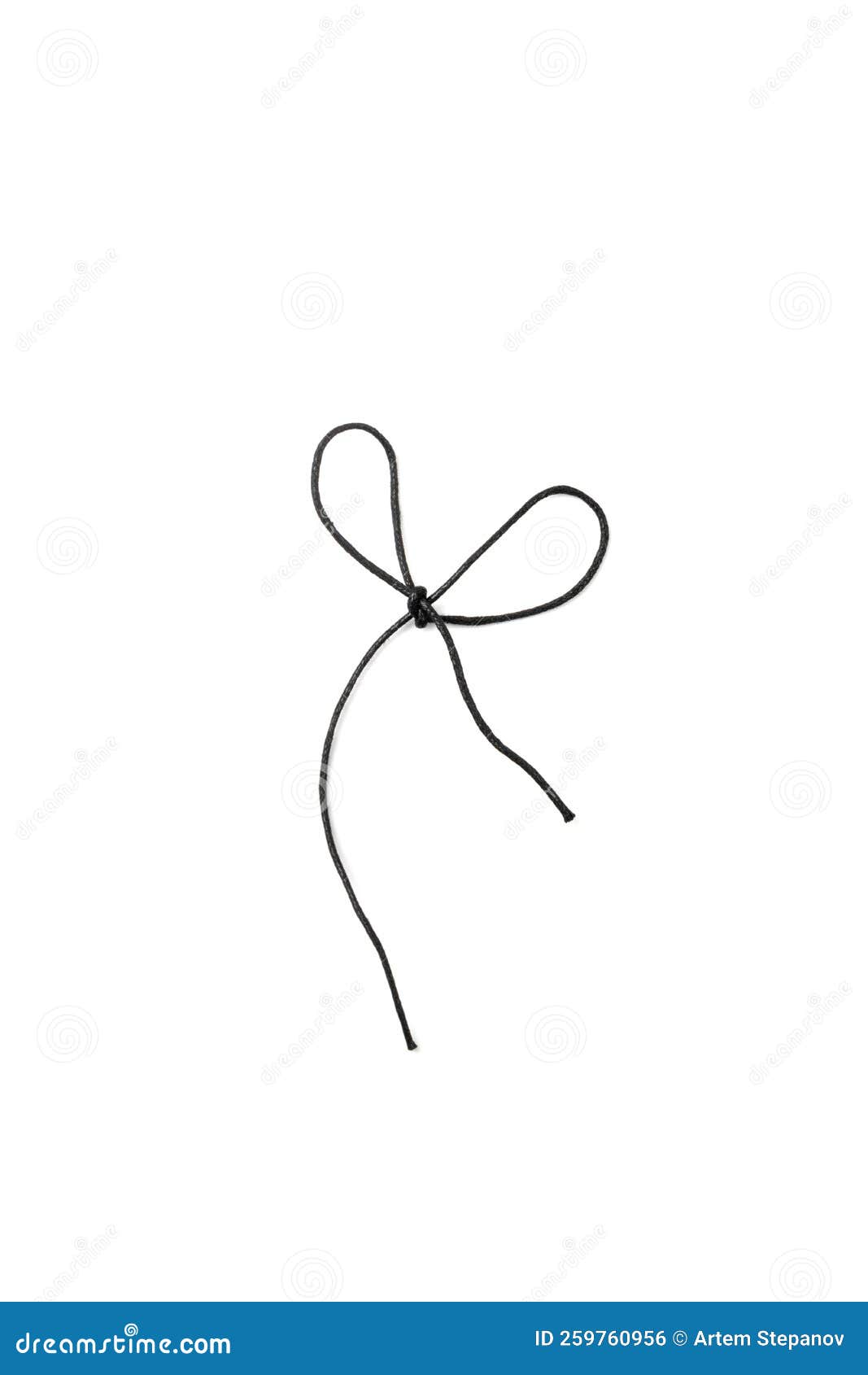 Black String Bow Isolated stock photo. Image of background - 259760956