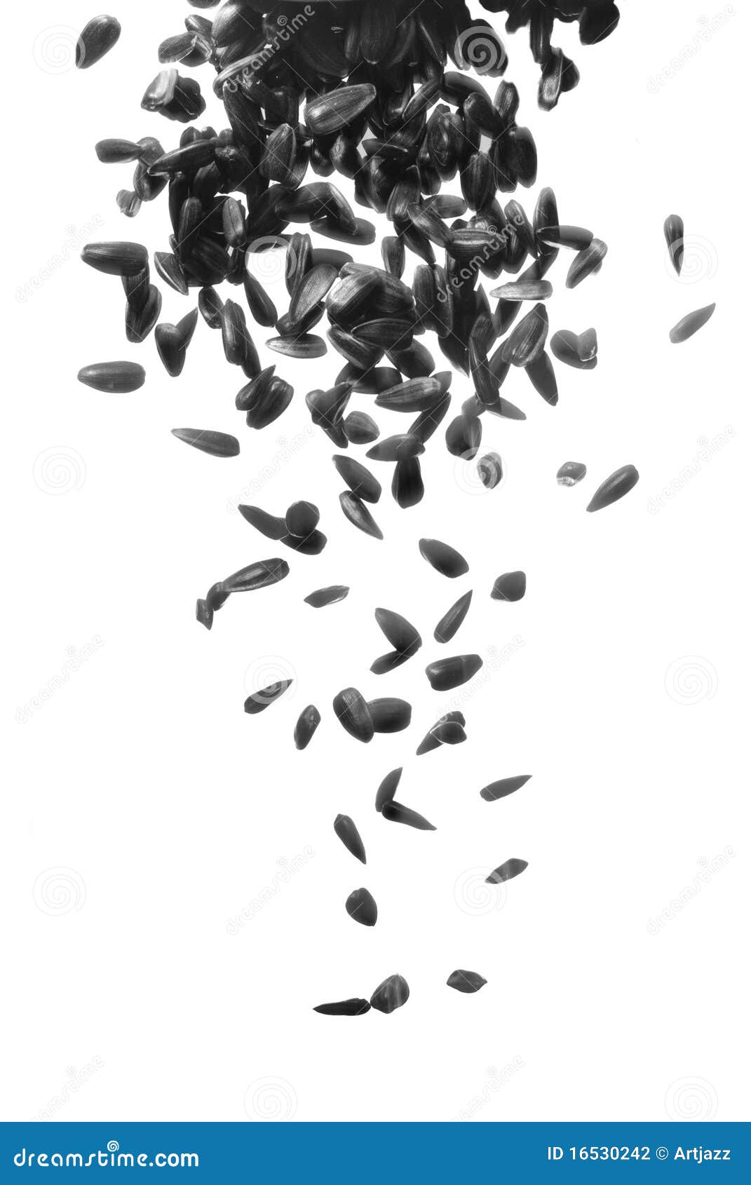 Black Sunflower Seeds Falling Down Stock Photography | CartoonDealer ...