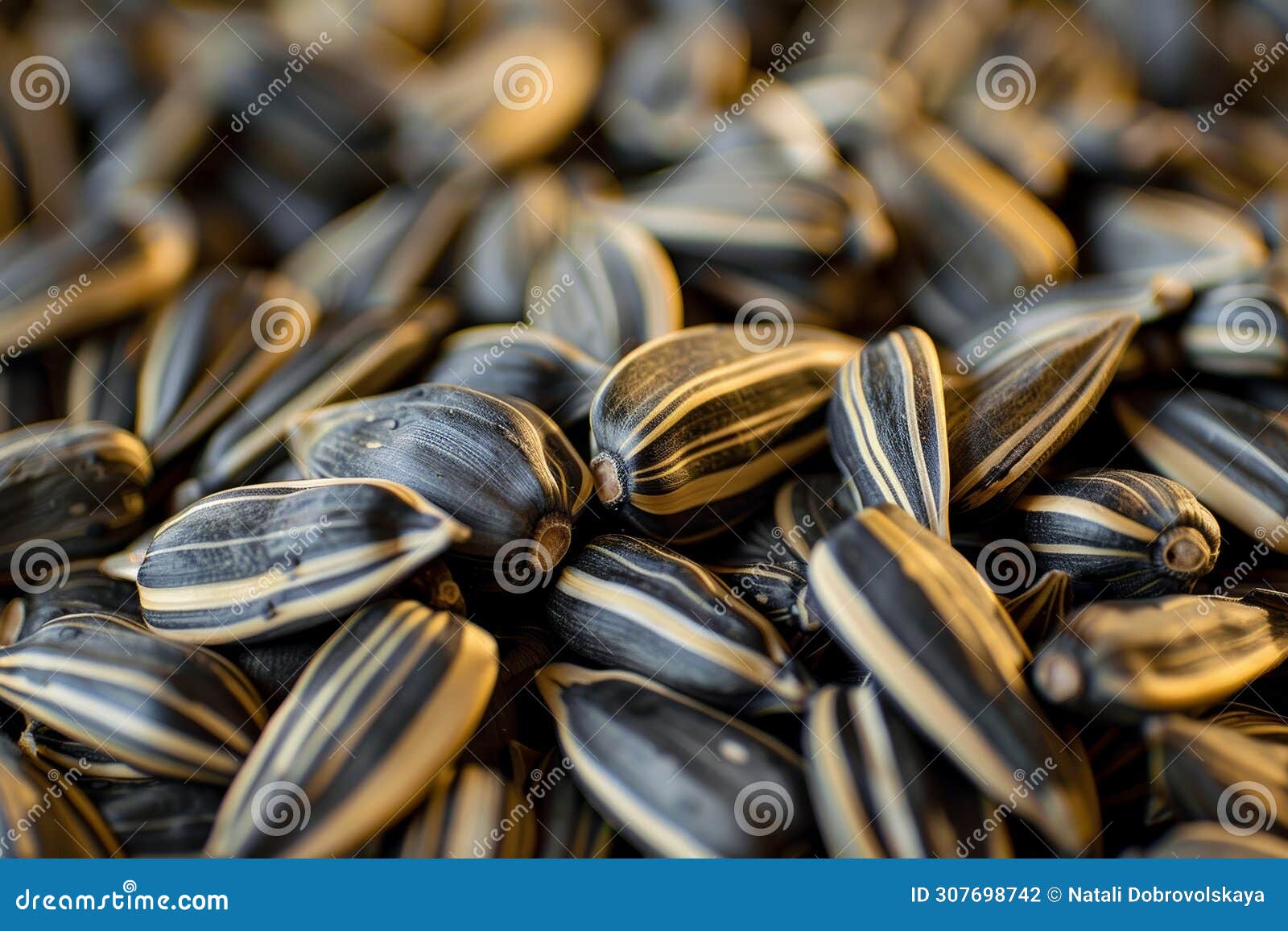 Black Sunflower Seeds Production Process Stock Photo - Image of ...
