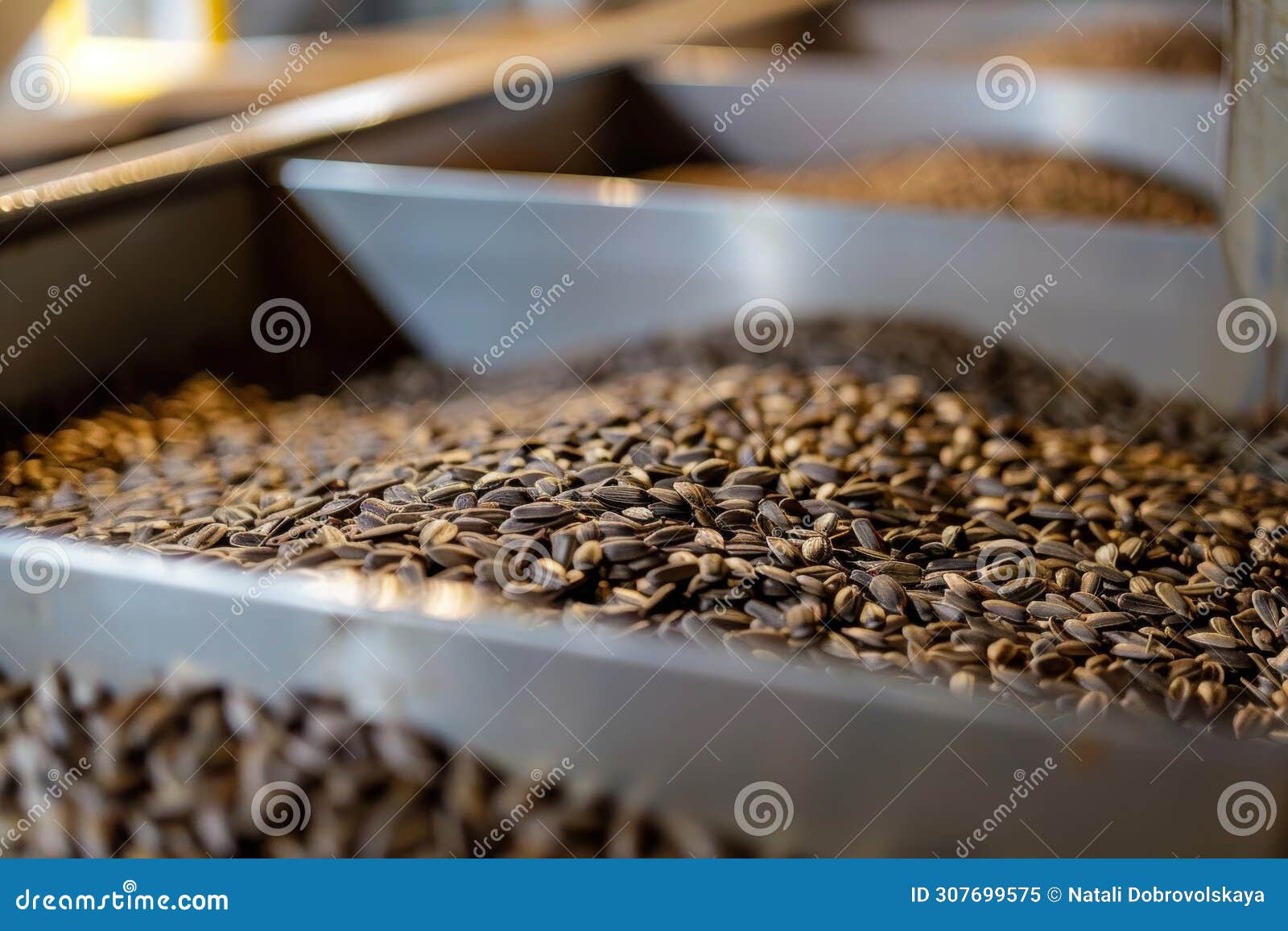 Black Sunflower Seeds Production Process Stock Image - Image of omega3 ...