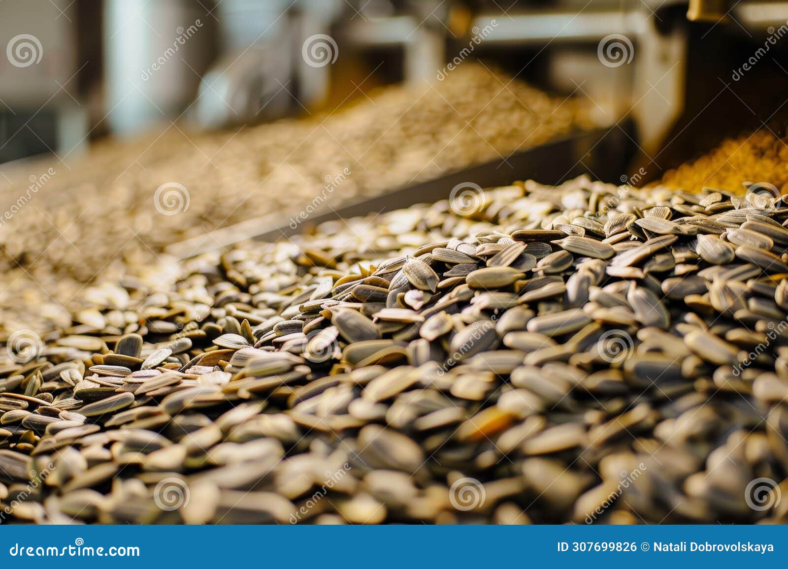Black Sunflower Seeds Production Process Stock Photo - Image of omega6 ...