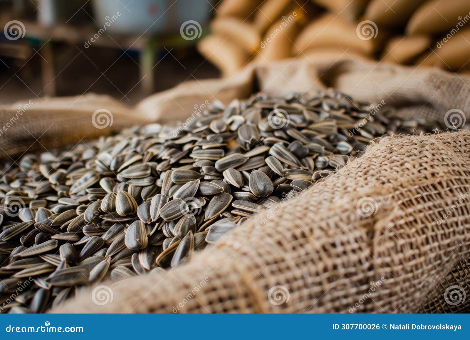 Black Sunflower Seeds Production Process Stock Photo - Image of omega3 ...