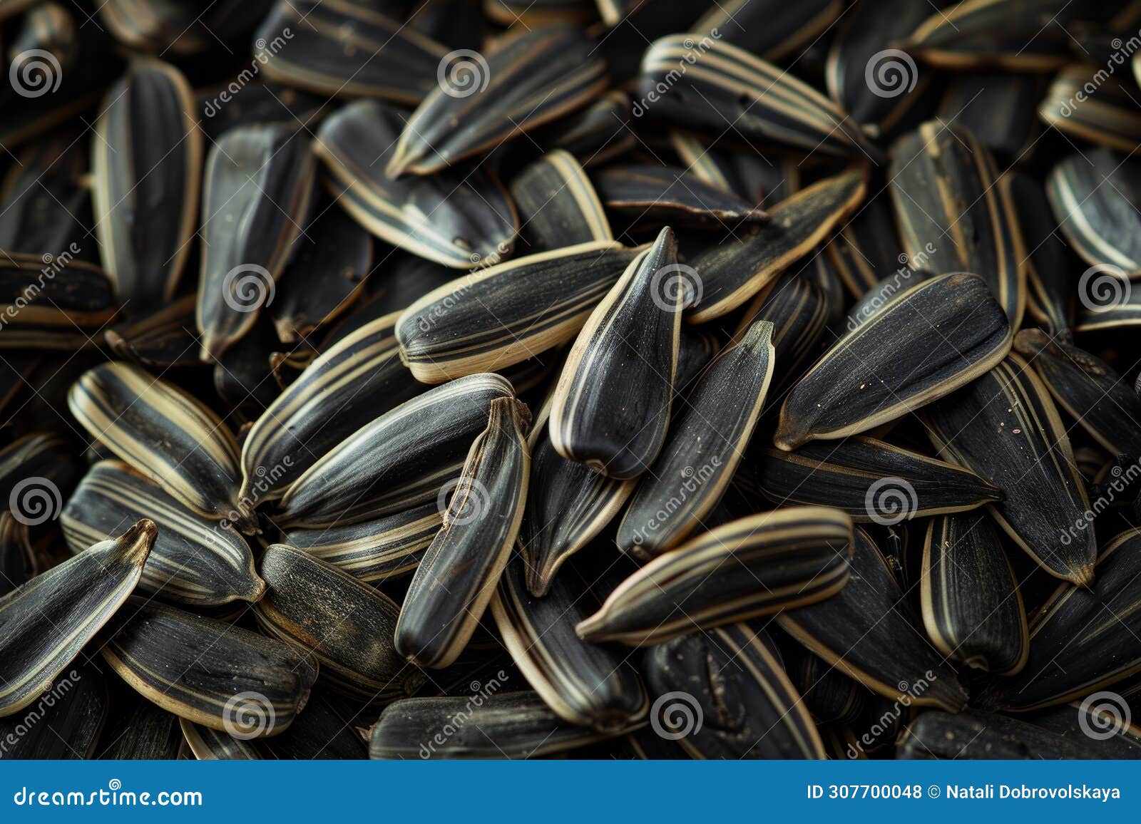Black Sunflower Seeds Production Process Stock Photo - Image of protein ...