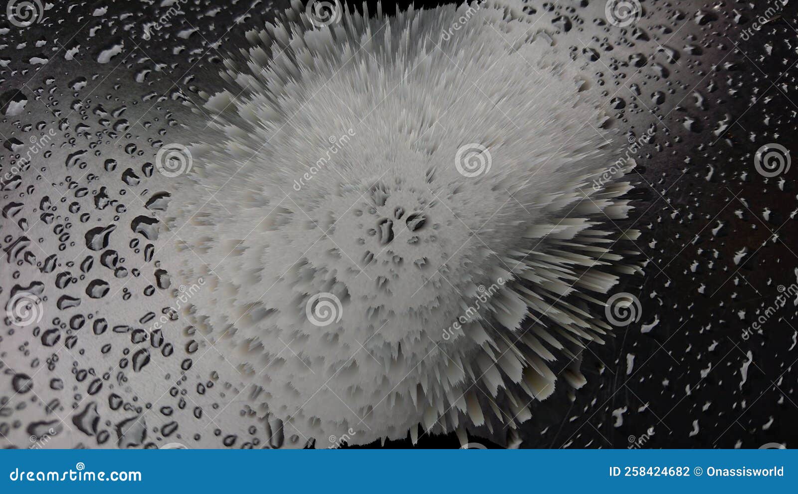 Black Surface Humid Water Drops Abstract Background Shapes Textured ...