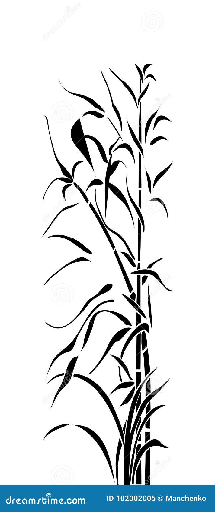 The Swamp And Grass Of A National Park. Stock Photography ...