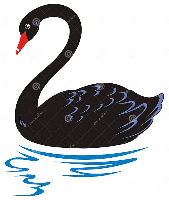 Black swan stock vector. Illustration of drawings, swan - 8519926