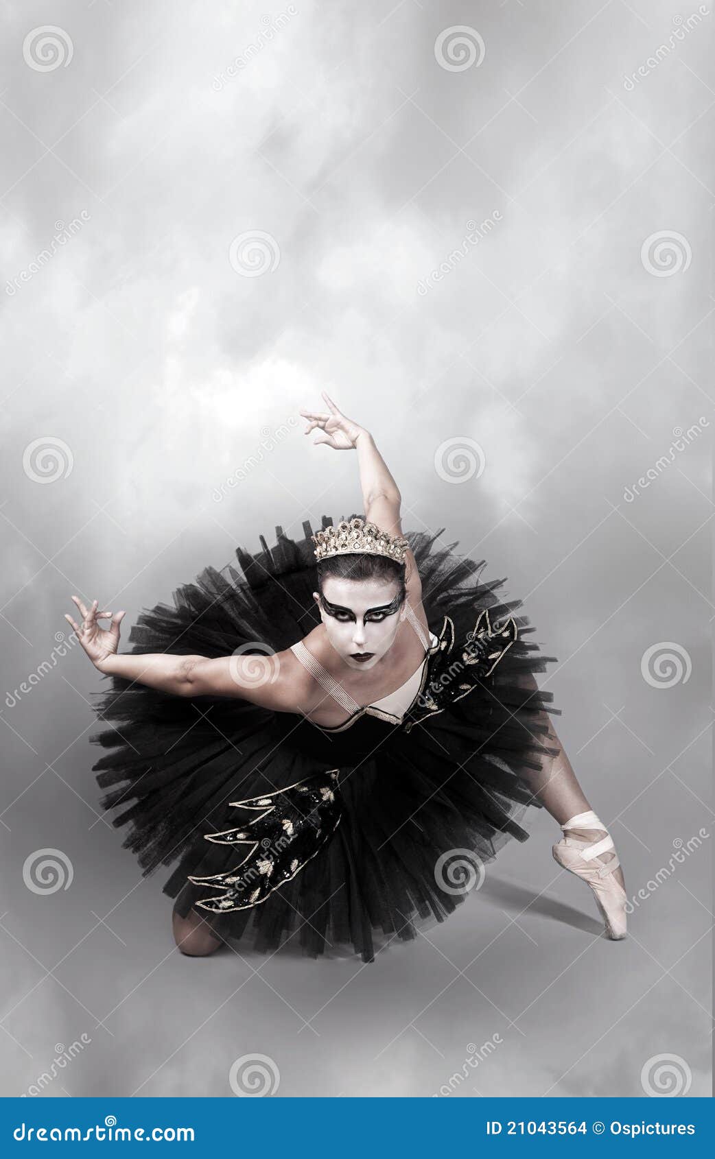 Black Swan Ballerina Swan Lake Illustrations Inspired By English