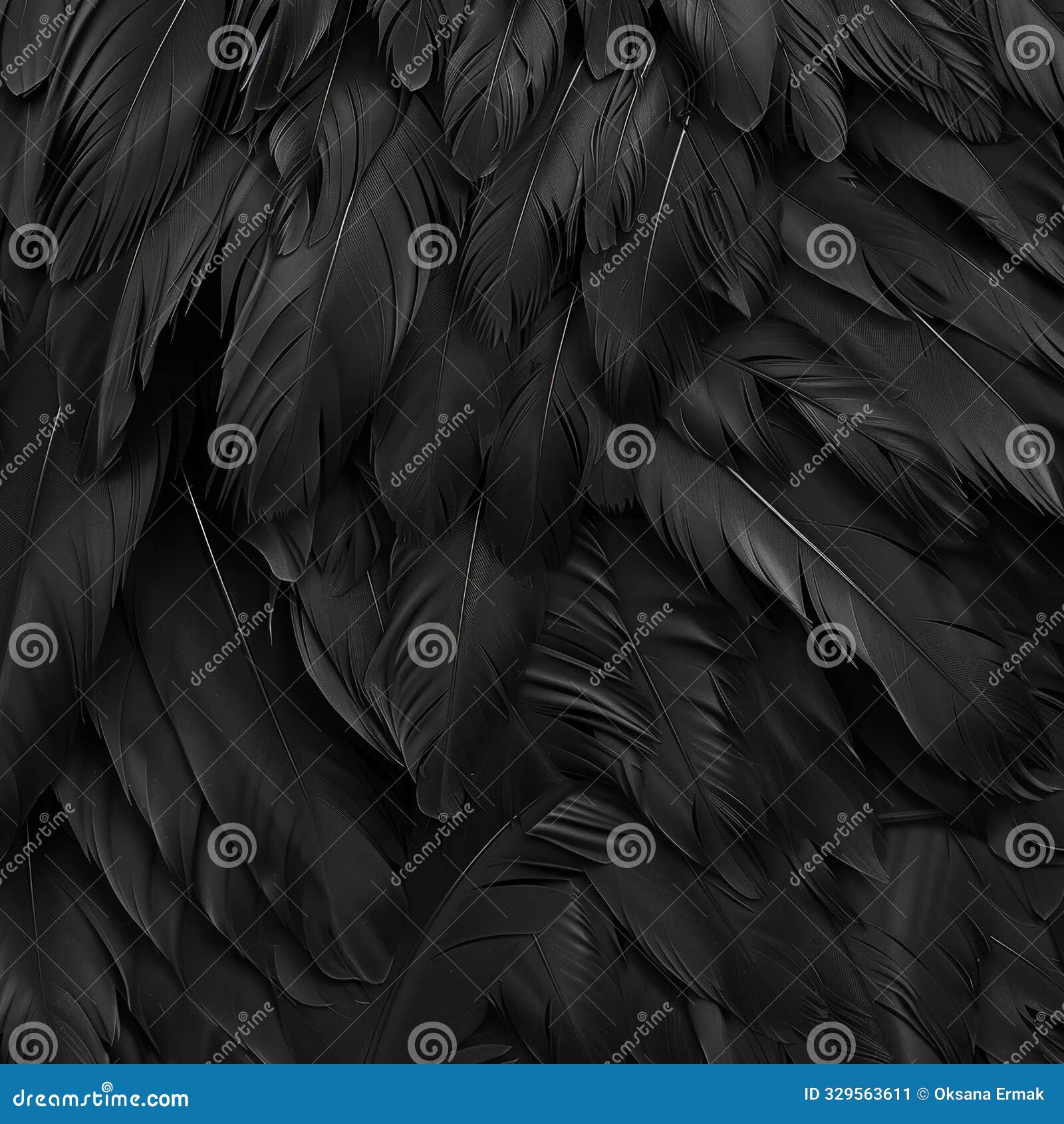 Black Swan Feathers Background, Black Plume Pattern, Wings Feather ...