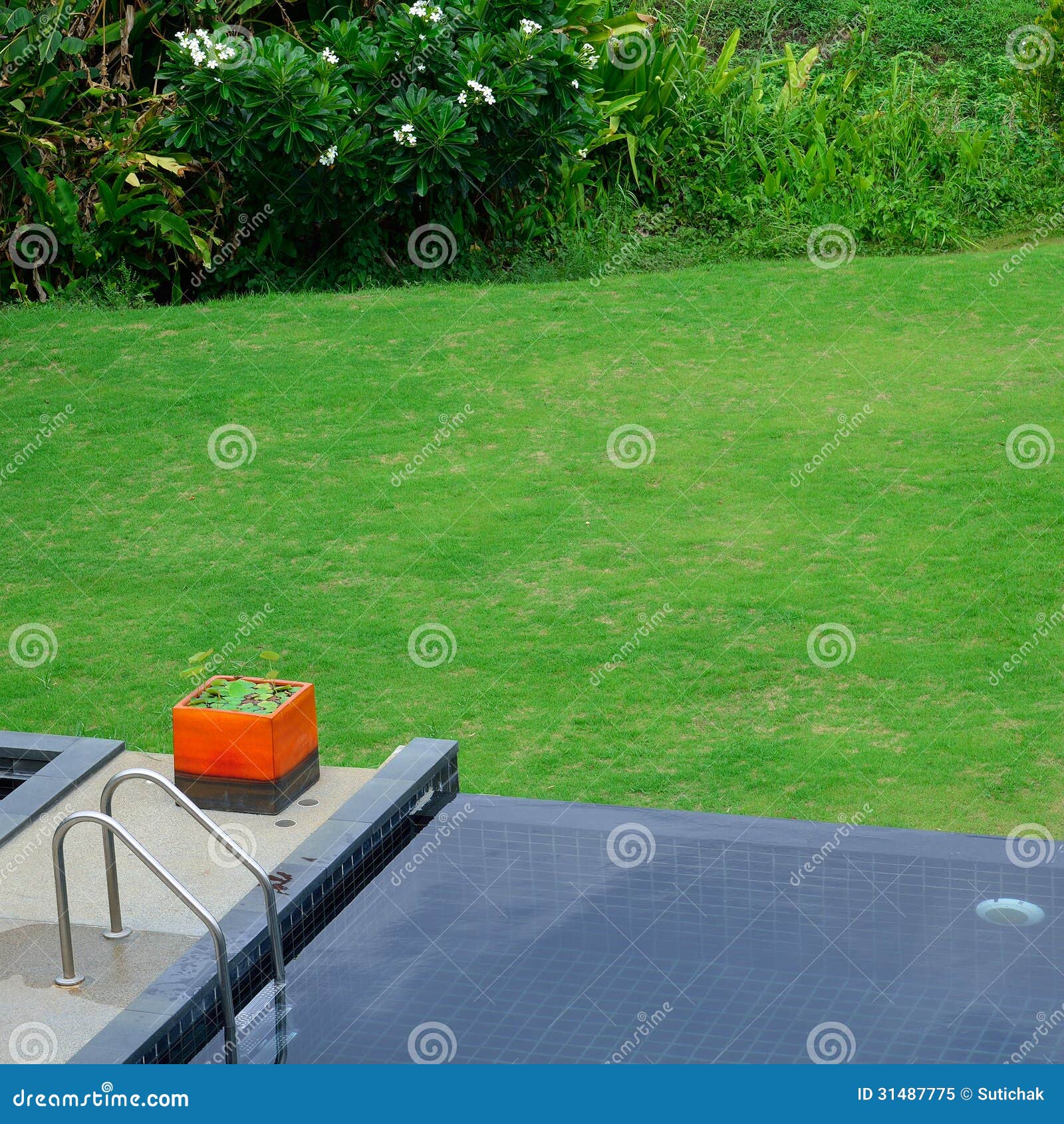 Black Swimming Pool in Green Grass Garden Stock Image - Image of blue ...