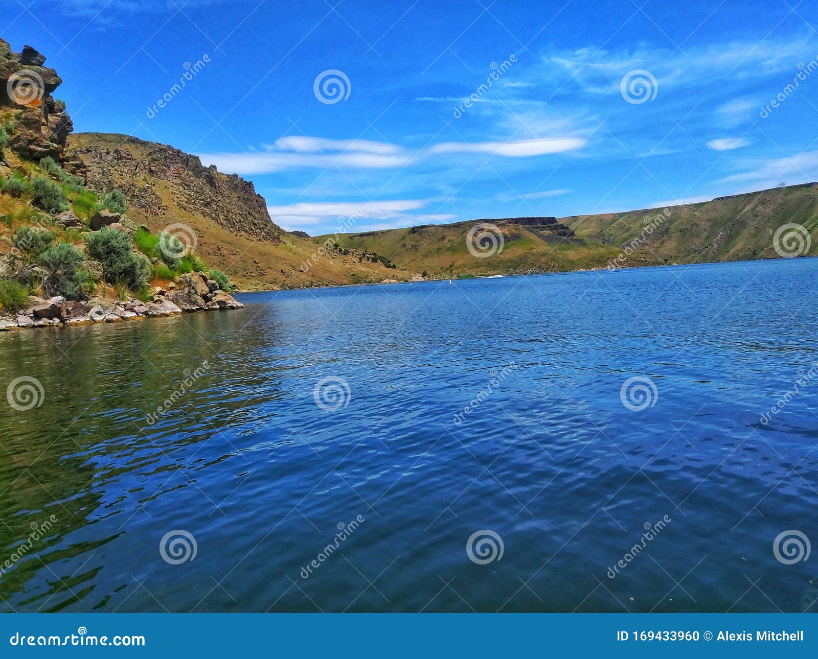 Black Tail, Idaho Falls, ID. Mountains Stock Photo - Image of tail ...
