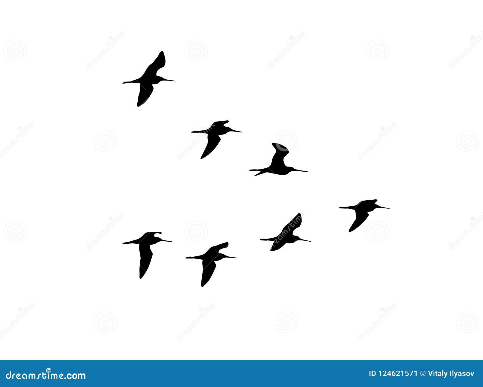 Godwit Cartoons, Illustrations & Vector Stock Images - 20 Pictures to ...