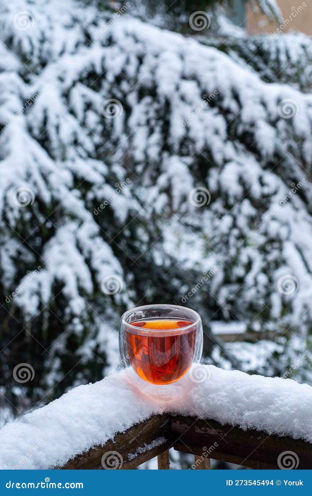 Black Tea in a Designer Glass Cup in Snow Stock Photo - Image of ...