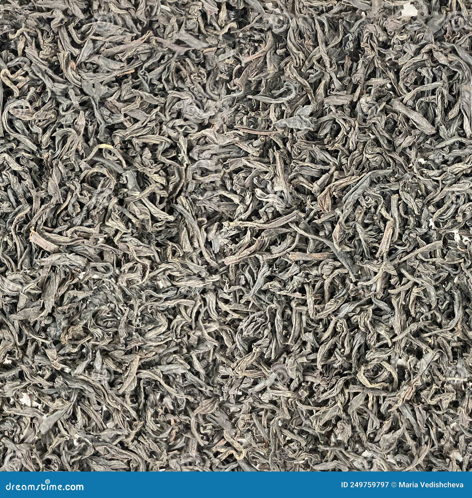 Black Tea Leaves Spread on White Background Seamless Pattern Stock ...