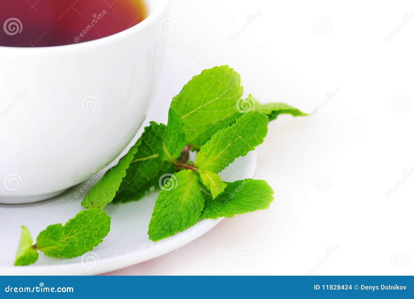 Black tea with mint stock photo. Image of nature, water - 11828424