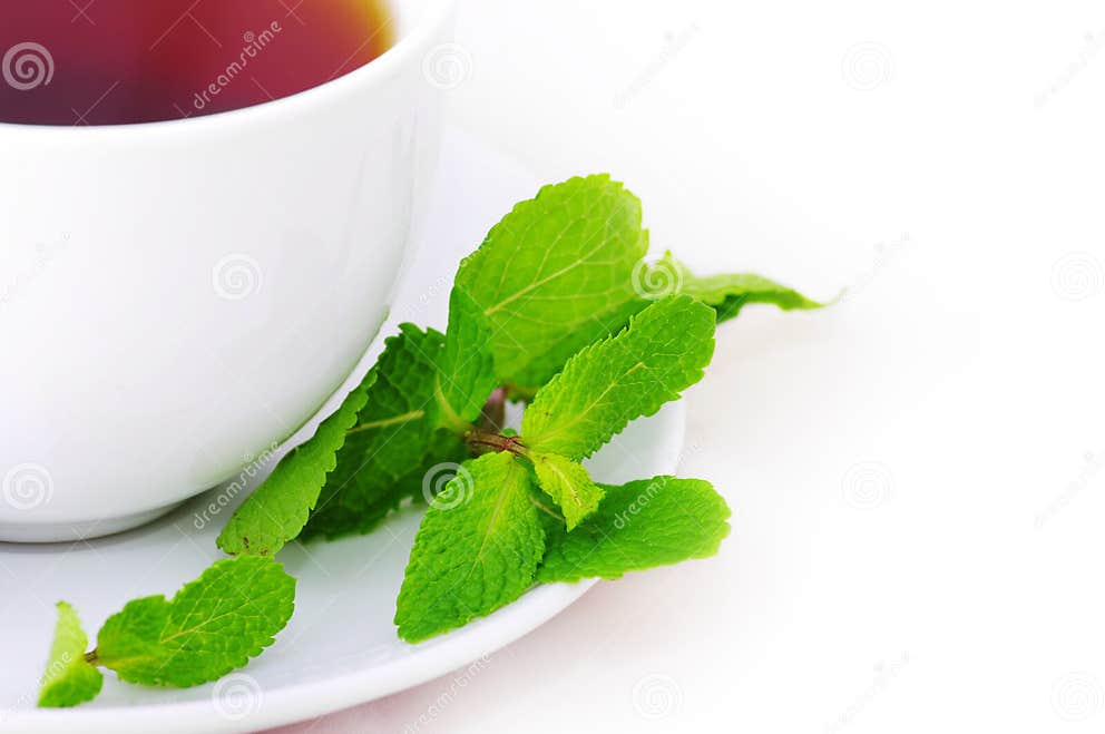 Black tea with mint stock photo. Image of nature, water - 11828424